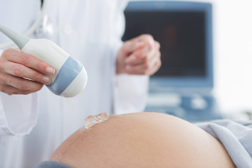 OB GYN Ultrasound Hands-On Workshop September 14, 2024, Asheville, NC ...